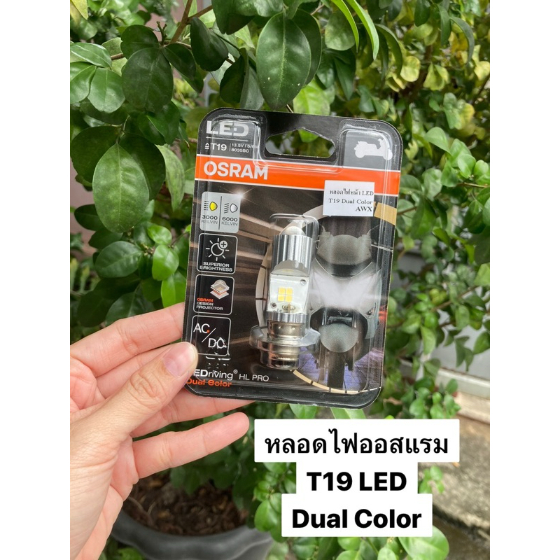 หลอดไฟ ออสแรม OSRAM T19 LED Dual Color หลอดไฟรถจักรยานยนต์ หลอดไฟOSRAM ...