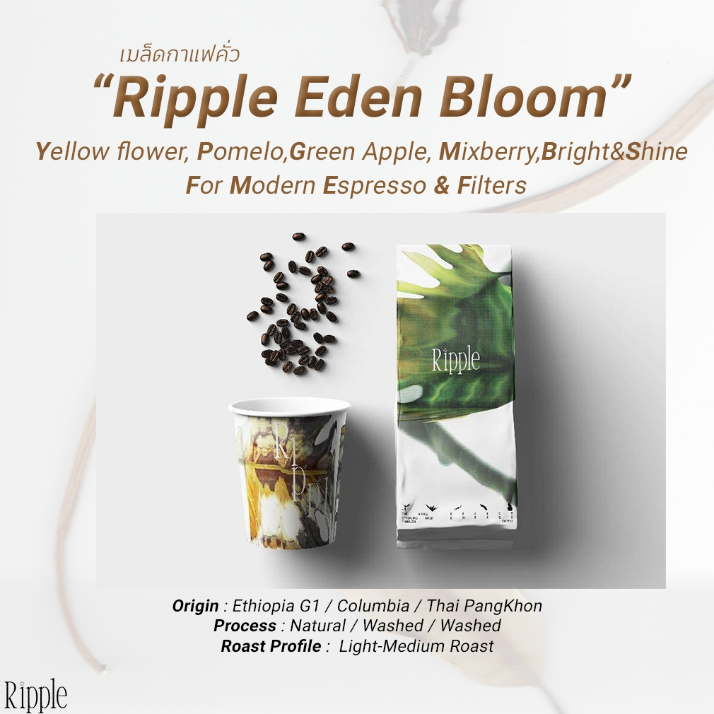 Ripple เมล็ดกาแฟคั่วกลาง “Ripple Ethiopia Eden” | Shopee Thailand
