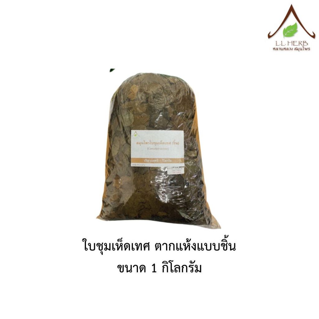 ใบชุมเห็ดเทศ ตากแห้งแบบชิ้น ขนาด 1 กิโลกรัม (Ringworm Bush dried Size ...