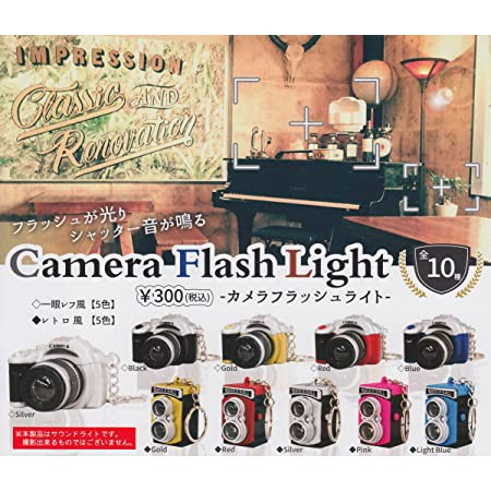 Gashapon Camera Flash Light & Retro Style - กาชาปอง พวงกุญแจ กล้องถ่าย ...