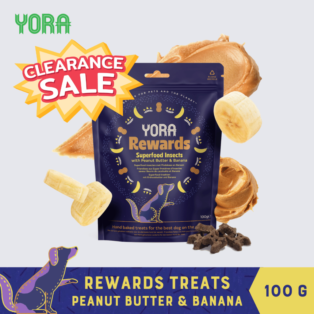 [CLEARANCE] YORA Rewards Treats Peanut Butter Banana 100g โยรา รีวอร์ดส ...