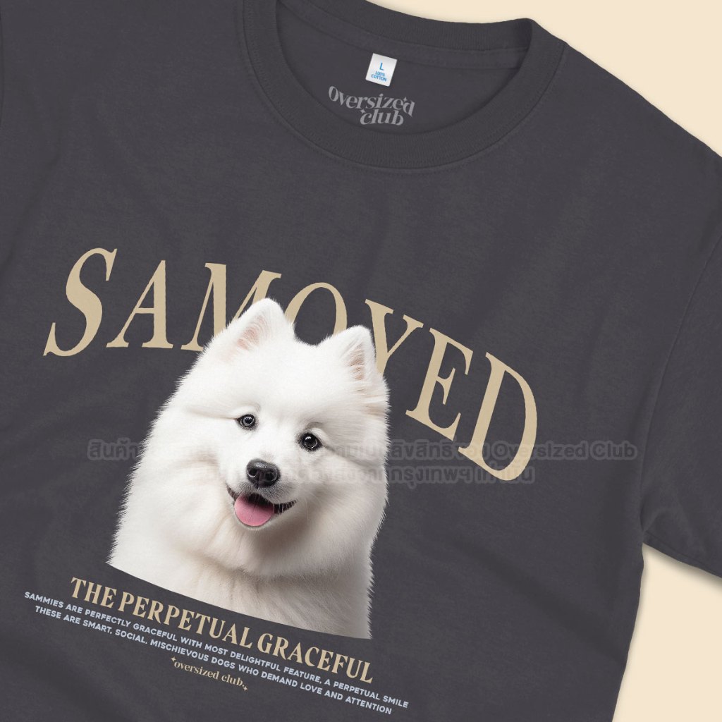 เสื้อยืดสกรีนลายน้องหมา Samoyed ซามอยด์ [Classic Cotton 100% by ...