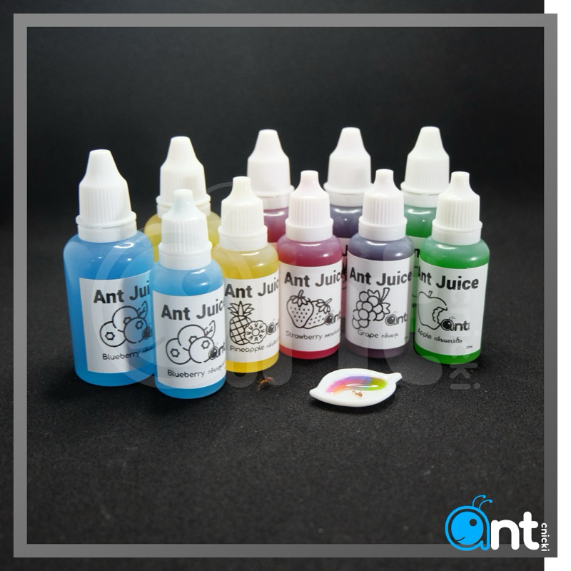 Ant Juice อาหารมด น้ำหวานสำหรับมด อาหารมดนักล่า หนอนนก เรดรัน | Shopee ...