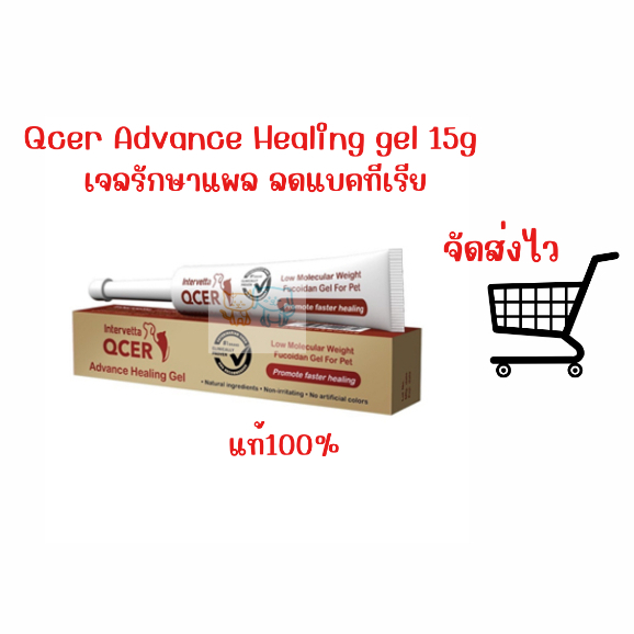 (( เจล )) Qcer Advance Healing gel 15gเจลดูแลแผล ลดแบคทีเรีย | Shopee Thailand