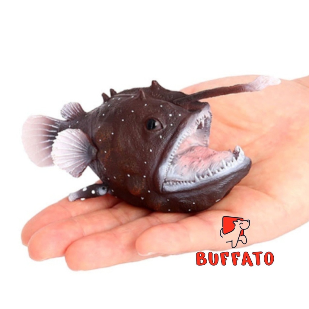 Buffato โมเดลสัตว์ Fish ปลา ฟุตบอลแอตแลนติก ขนาด 13.00 CM (จากหาดใหญ่ ...