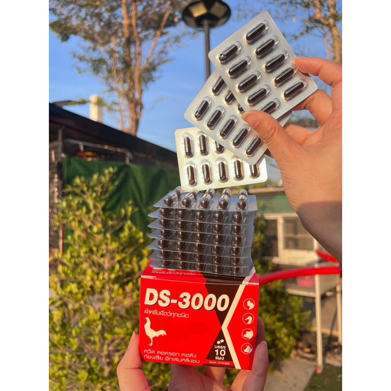 อาหารไก่ อาหารสัตว์ปีก แดงชัวร์DS3000 เม็ดแดง ดำ | Shopee Thailand