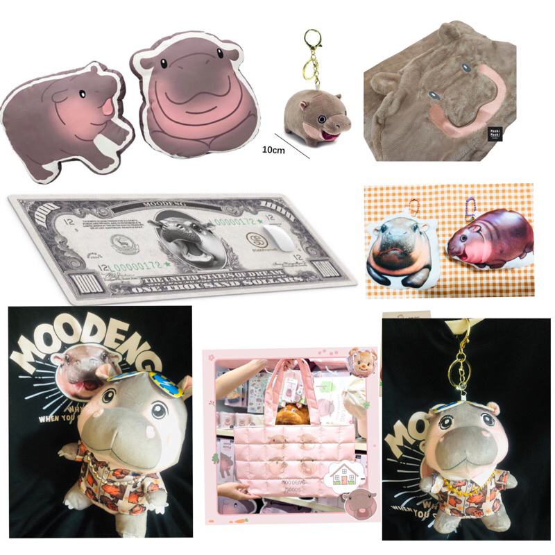 Moshi ส่วนลด150ผ้าห่มมีหมวก Moodeng ลายหมูเด้ง ผ้าห่มขนนุ่ม ลายน่ารัก ...