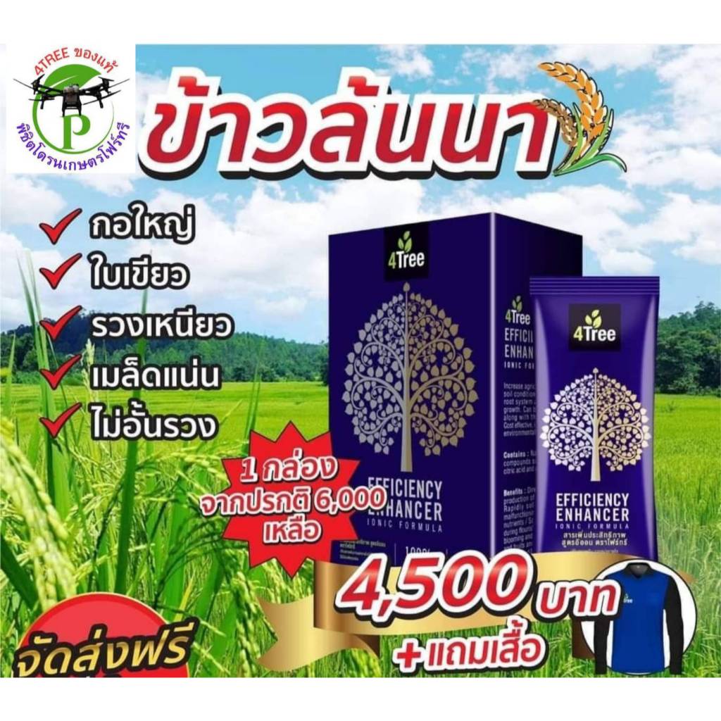 4Tree โฟร์ ทรี1กล่อง(10ซอง)ใช้ได้ 200 ไร่ สารเสริมประสิทธิภาพ พืชโตเร็วใช้ได้กับพืชทุกชนิด จาก ...