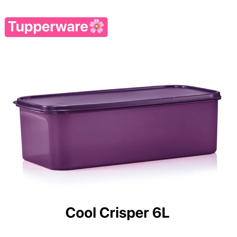 Tupperware รุ่น Cool Stacker, cool crisper คละสี เก็บอาการให้กรอบนาน ...