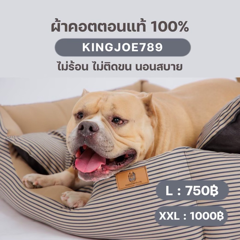 ที่นอนคิงโจ KINGJOE ที่นอนสุนัขและแมว size L | Shopee Thailand