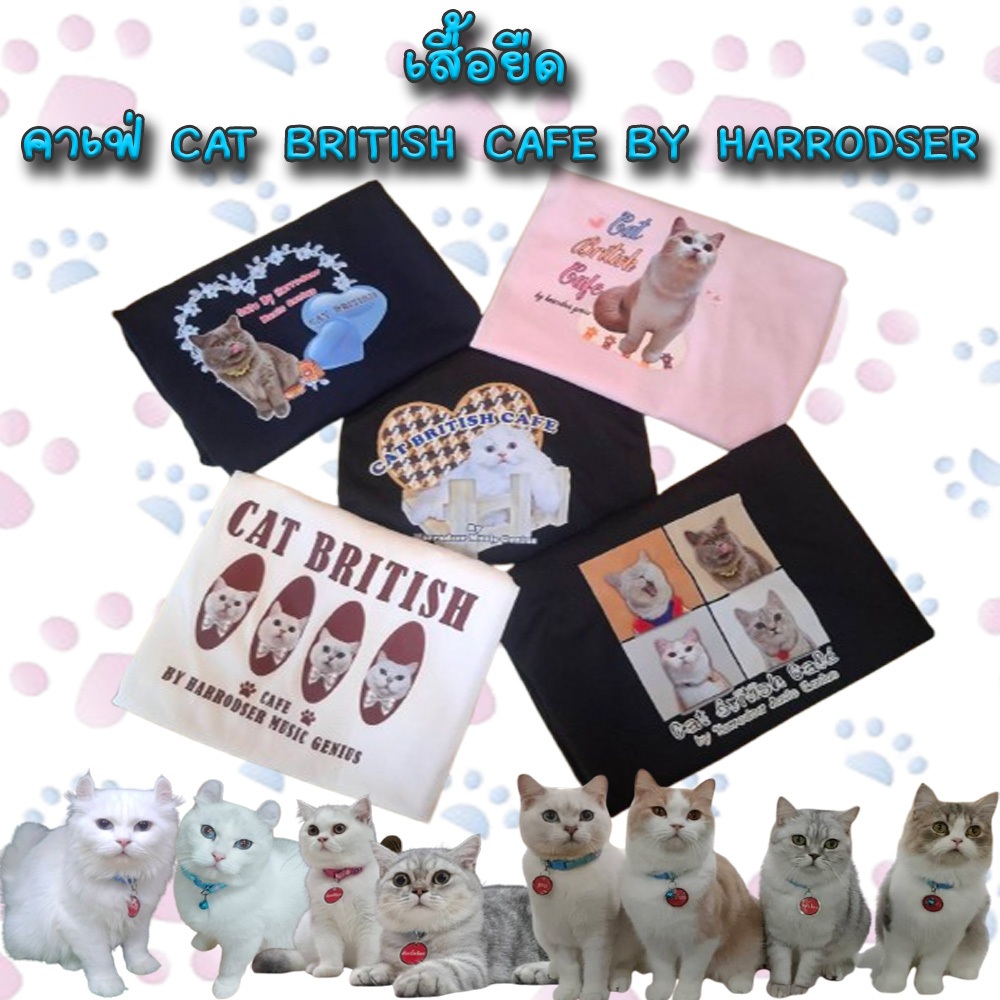 เสื้อยืดรูปคาเฟ่แมว Cat British Cafe By Harrodser เสื้อยืดคอกลมใส่ได้ ...