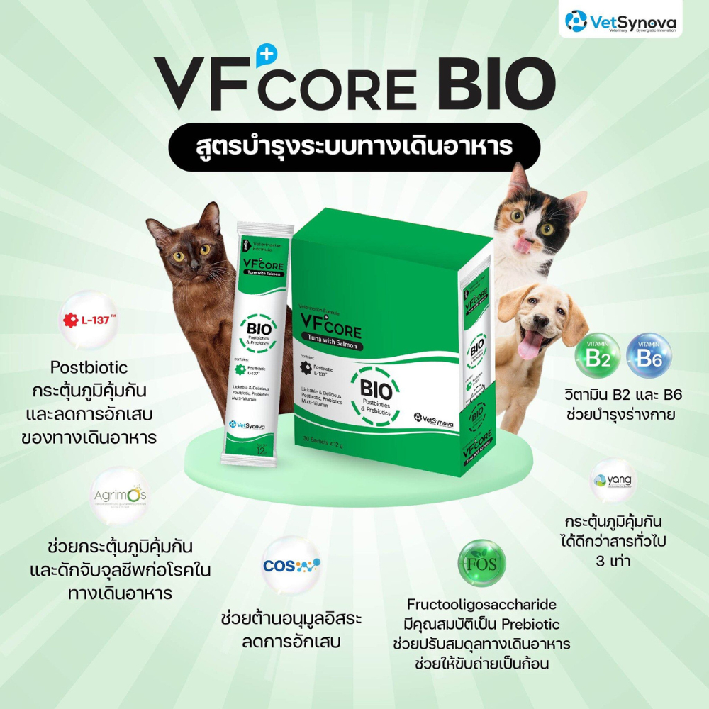 💚 (30ซอง) VF core BIO สีเขียวมรกต อาหารเสริมแมวเลีย สำหรับน้องแมว 1 กล่อง 💚 | Shopee Thailand