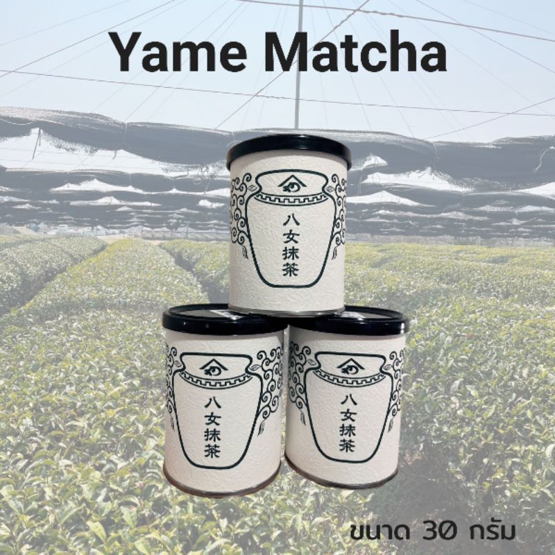 [พร้อมส่ง] Yame Matcha ผงมัทฉะเกรดพิธี จากเมืองยะเมะ | Shopee Thailand