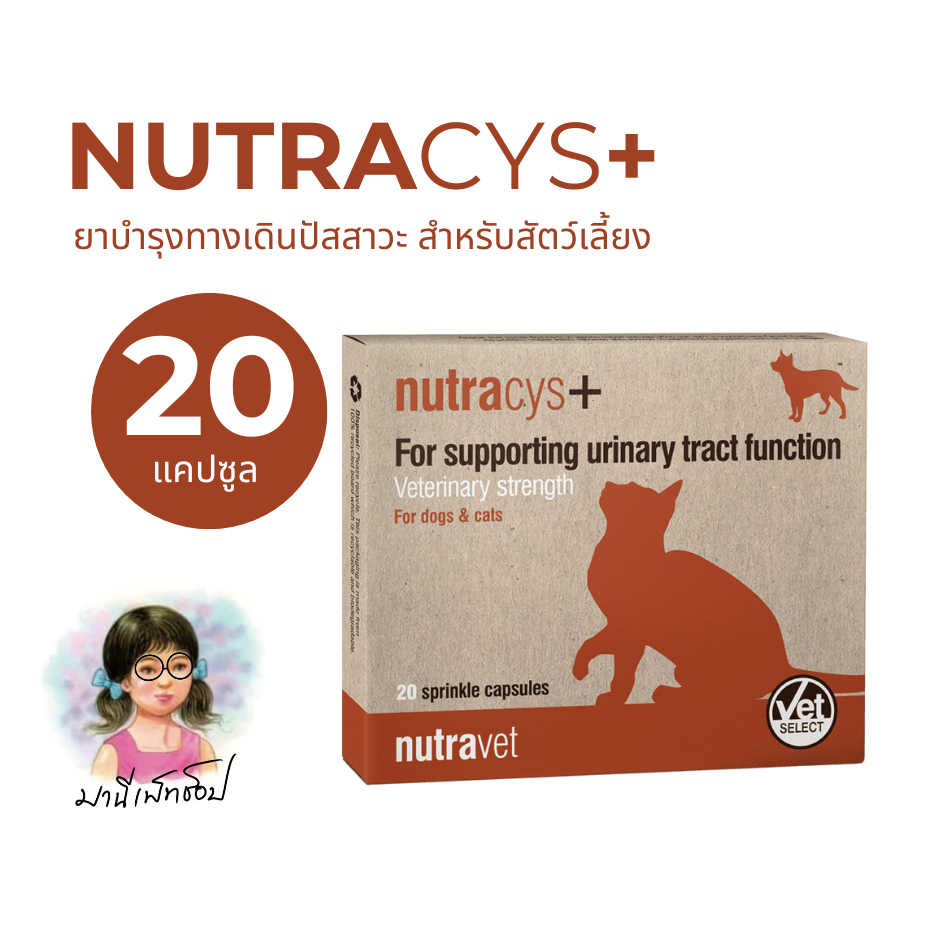 Nutracys+ [แท้💯] อาหารเสริมดูแลระบบทางเดินปัสสาวะ สำหรับสุนัขและแมว 20 ...