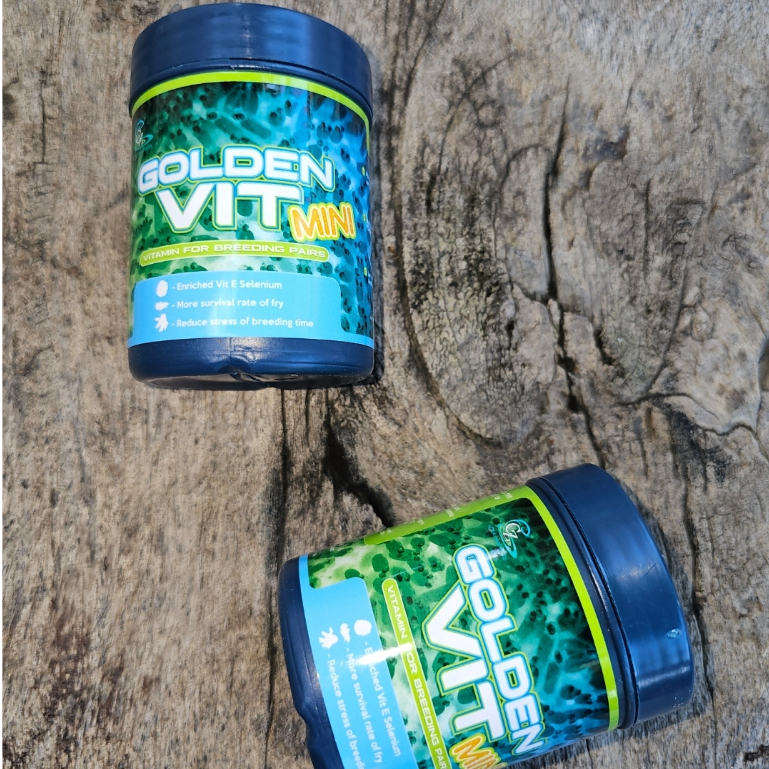 CZ Golden vit Mini!!! วิตามินบำรุงพันธุ์ ขนาดใหม่ 20 g ราคาประหยัด ...