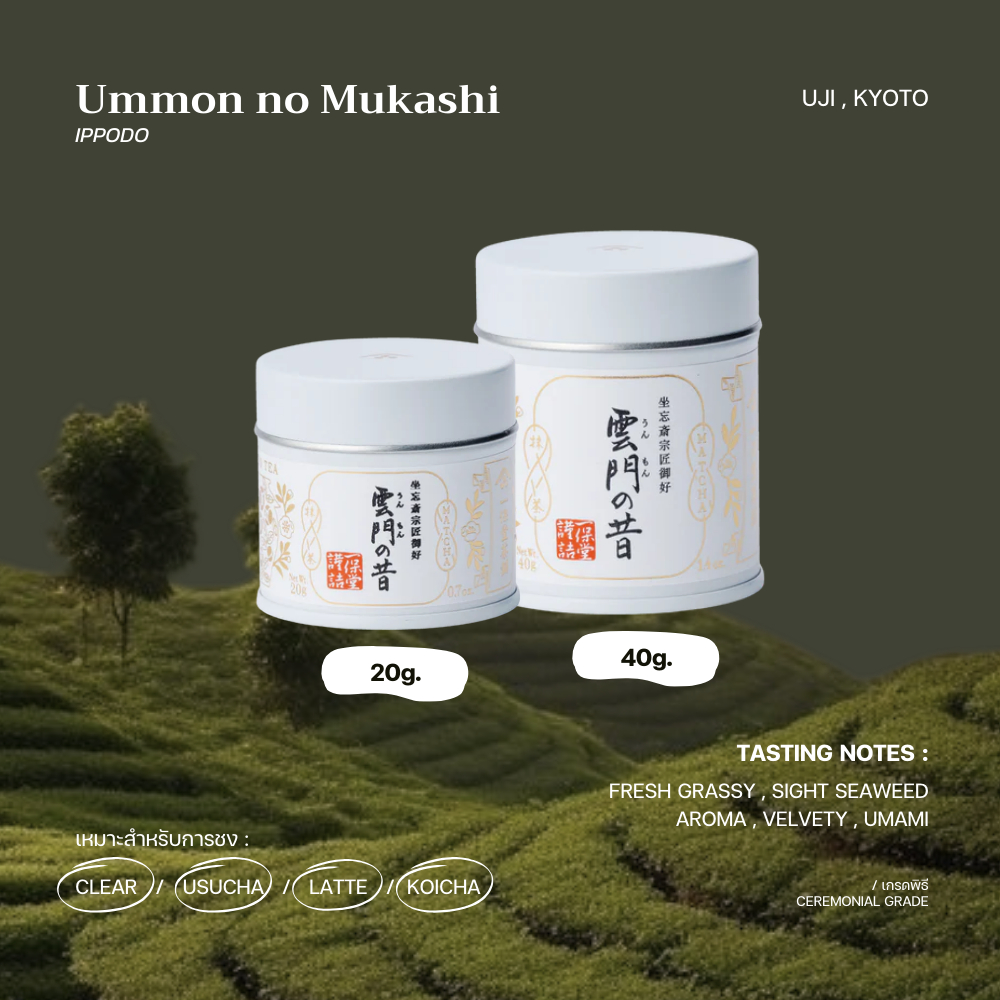 มัทฉะเกรดพิธี 🍃🌊"Ummon no Mukashi" - IPPODO TEA | Shopee Thailand
