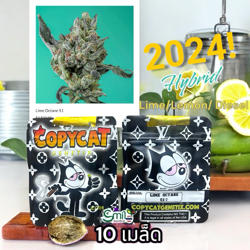 เมล็ดกัญชา Lime Octane S1(Fem) Hybrid มะนาว ดีเซล - Copycat Genetix ...