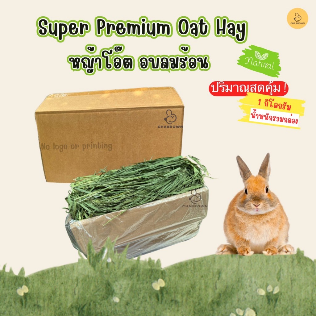 CBRF หญ้ากระต่าย หญ้าโอ๊ตอบลมร้อน Super Premium Oat Hay 1Kg. สำหรับกระต่าย สัตว์ฟันแทะ ไม่มี ...