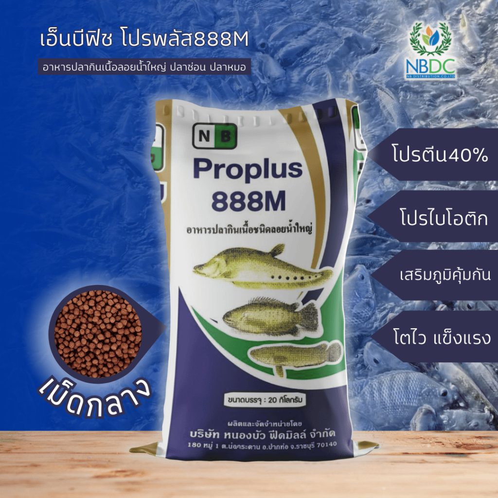 NB Fish Proplus เอ็นบีโปรพลัส 888M โปรตีน40% สูตรอาหารปลากินเนื้อ อาหาร ...