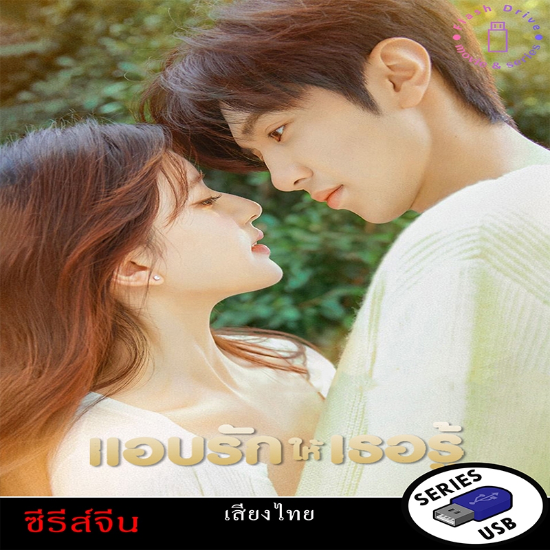 USB FlashDrive ซีรีส์จีน เรื่อง แอบรักให้เธอรู้ Hidden Love (พากย์ไทย ...