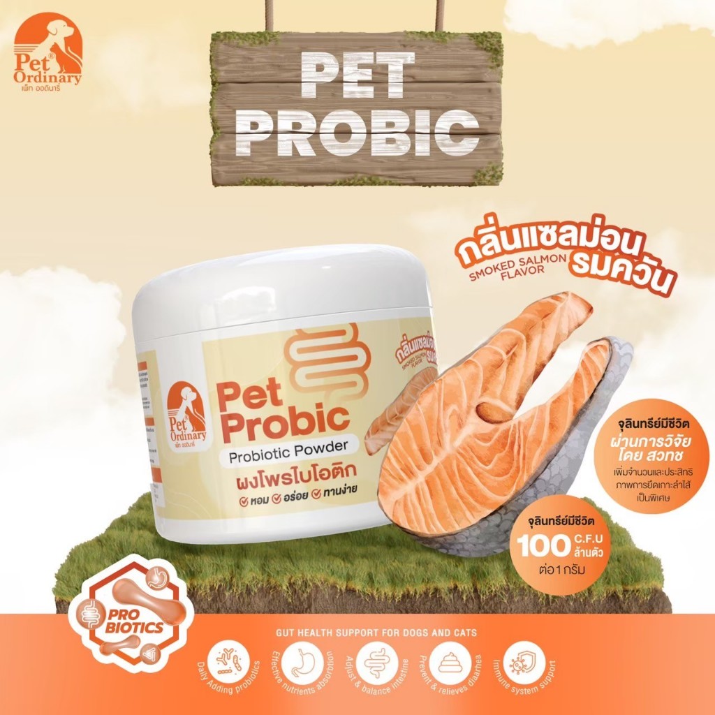 Pet Probic 100 g. กลิ่นแซลม่อนรมควัน - Pet Ordinary | Shopee Thailand