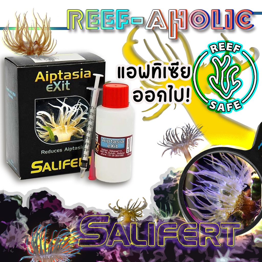 Reef-aholic ได้เวลาทำละลายให้กับอิ๊ป Salifert Aiptasia Exit ที่จะช่วยชีวิต ปะการังอื่น ๆ อีก ...