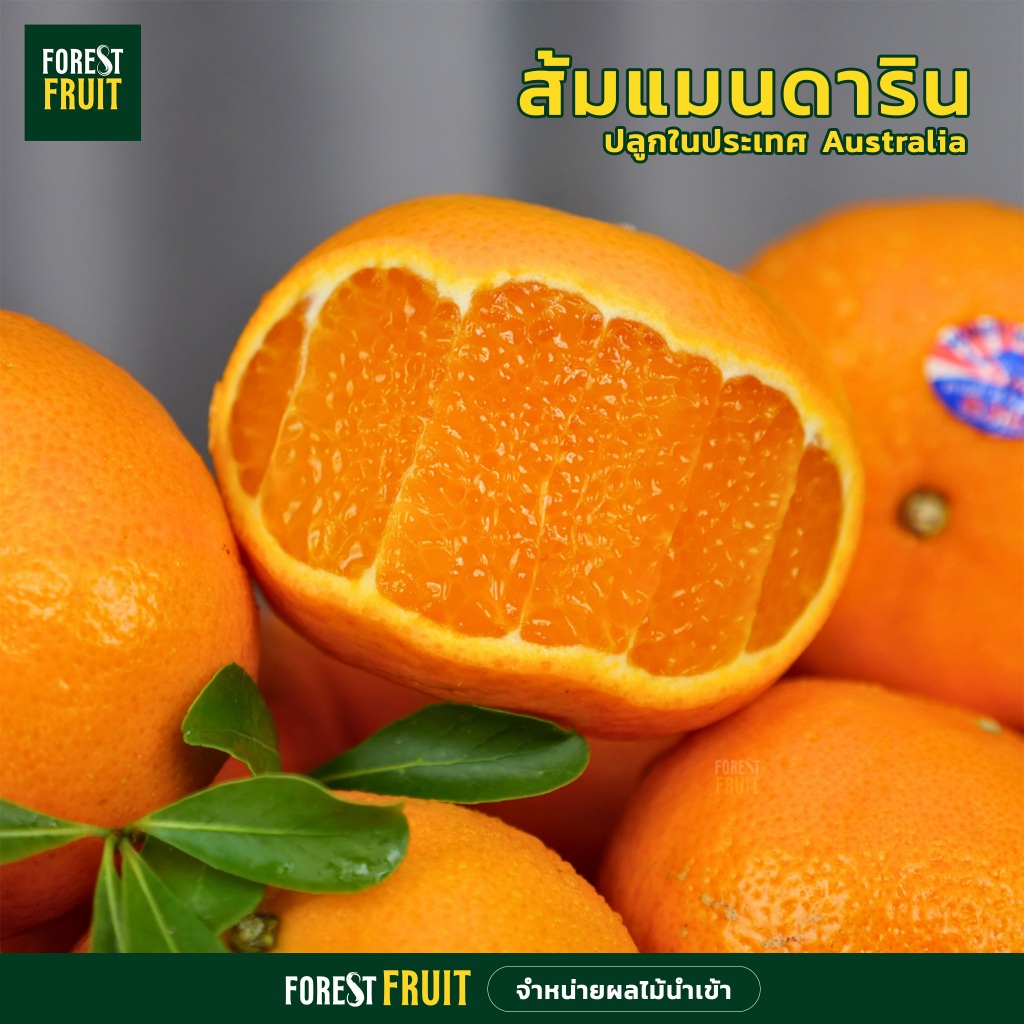 Forest fruit ส้มแมนดาริน (Mandarin Orange Australia ) | Shopee Thailand