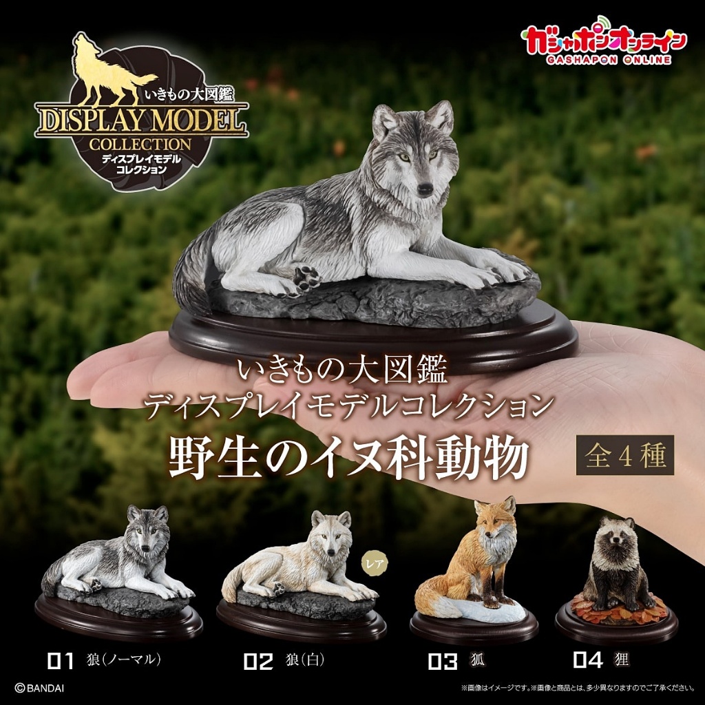 (มีของพร้อมส่ง) กาชาปองหมาป่า จิ้งจอก ทานูกิ Gashapon Bandai Premium ...