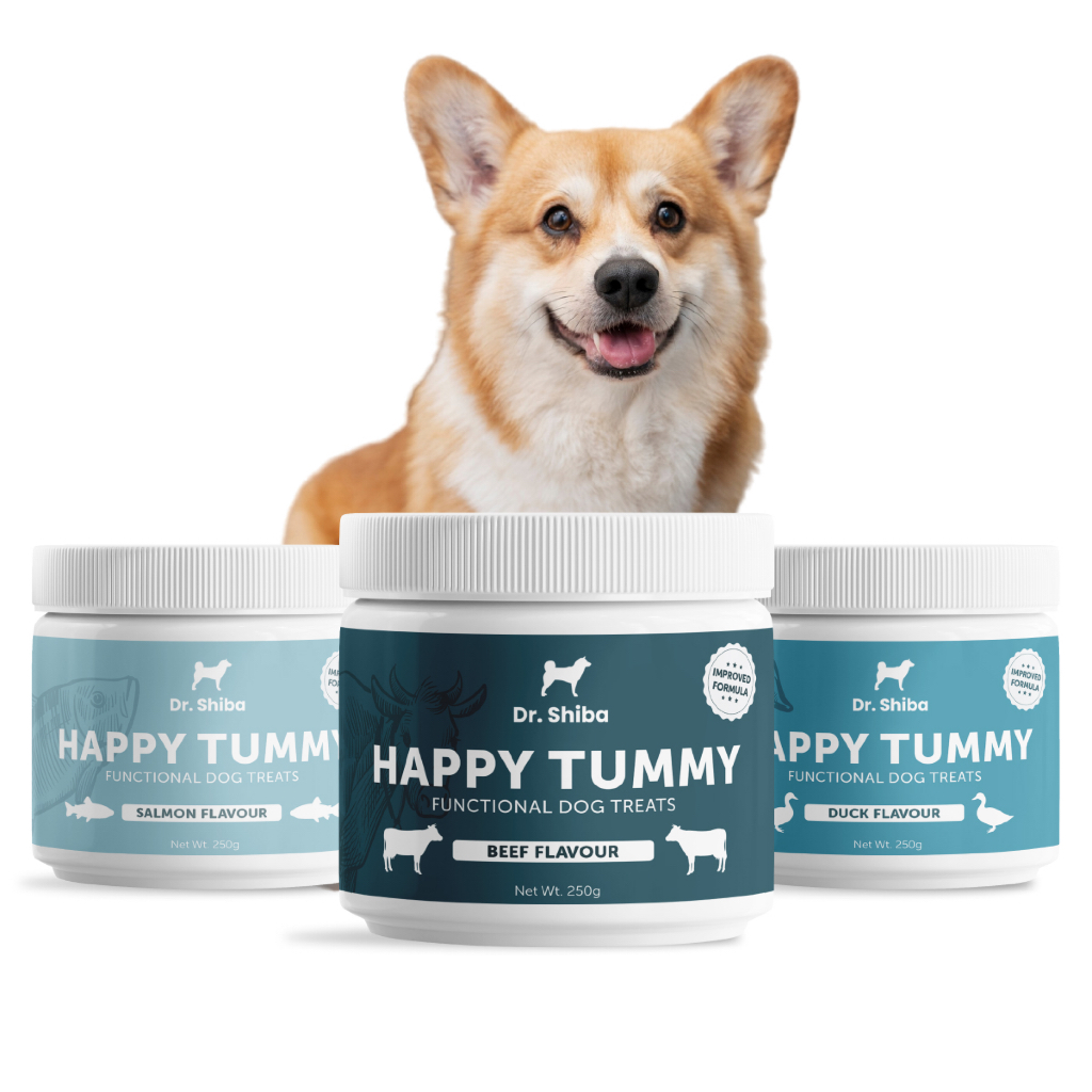 แพ็ค 3 กระปุก Dr. Shiba Happy Tummy - Dog treats ขนมสุนัข (ทางเดินอาหาร ...