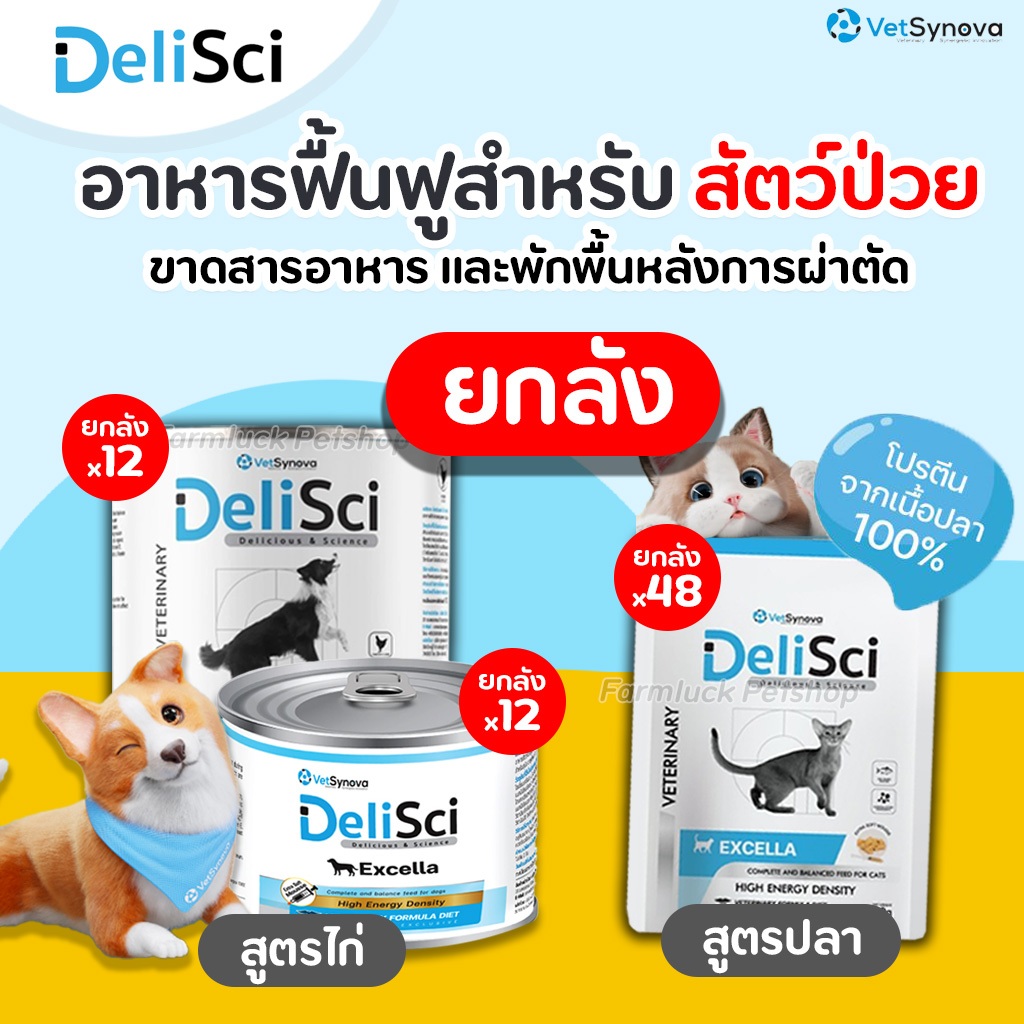 (ยกลัง) DeliSci Excella อาหารสำหรับแมว-สุนัขป่วย หลังผ่าตัดหรือกำลังพัก ...