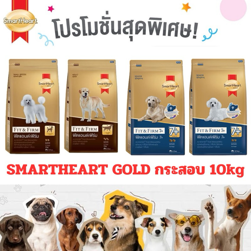 SMARTHEART GOLD สมาร์ทฮาร์ทโกลด์ ขนาด 10กก. สำหรับสุนัขพันธุ์เล็กและ ...