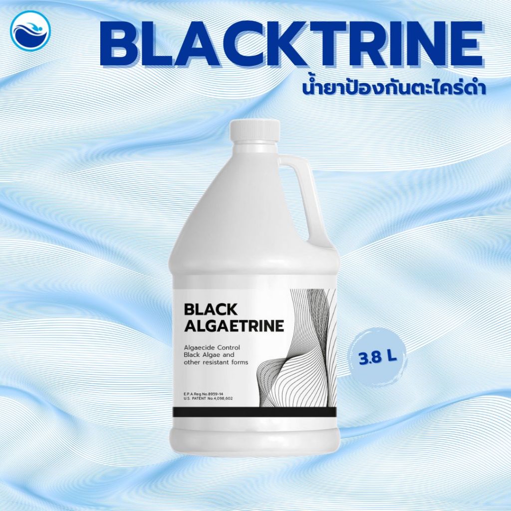 BLACK ALGAETRINE น้ำยากำจัดตะไคร่น้ำดำ | Shopee Thailand
