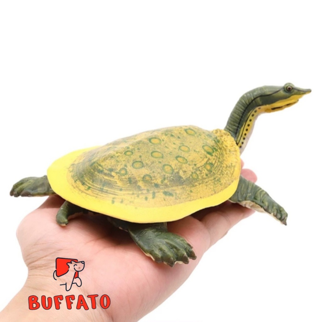 Buffato โมเดลสัตว์ Snapping Turtle ตะพาบ เหลืองเขียว ขนาด 17.00 CM (จาก ...