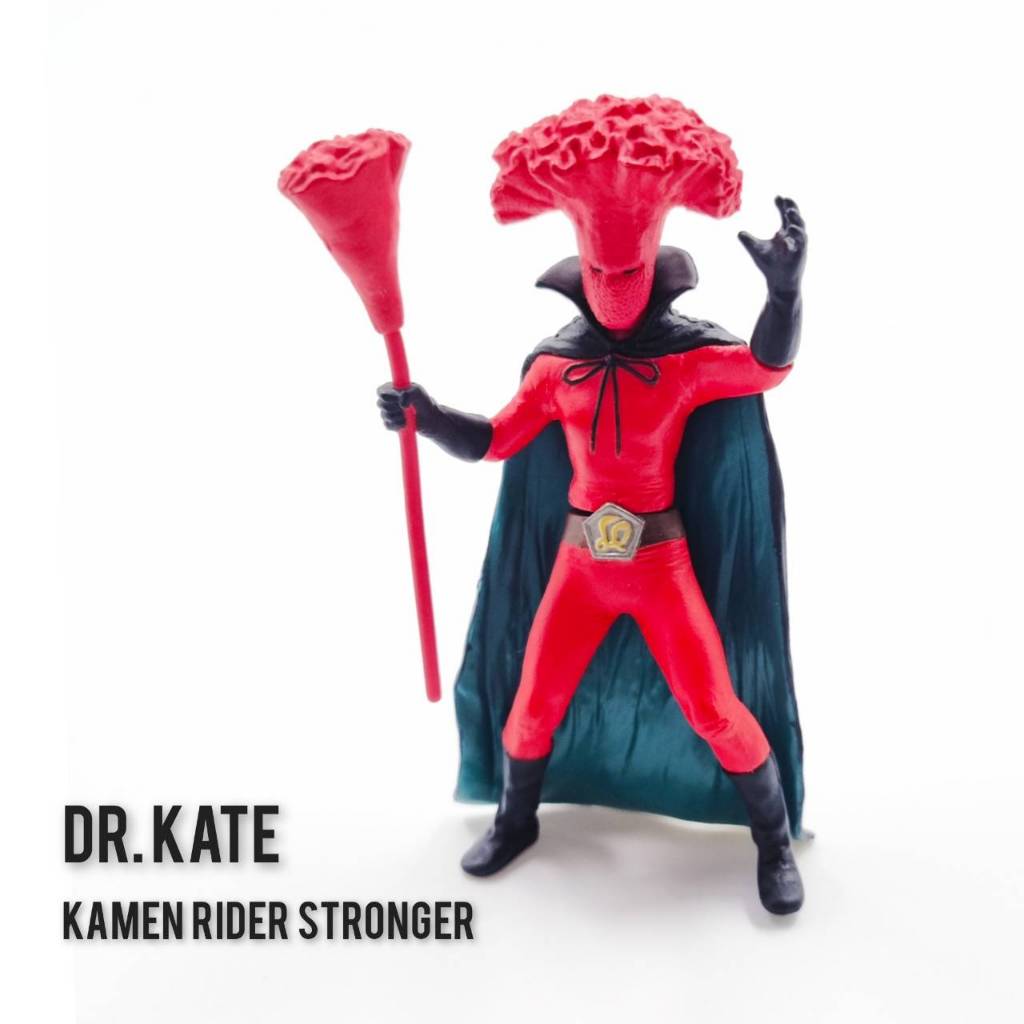 ด็อกเตอร์เคท คาเมนไรเดอร์ สตรองเกอร์ ฟิกเกอร์ Dr. Kate Kamen Rider ...