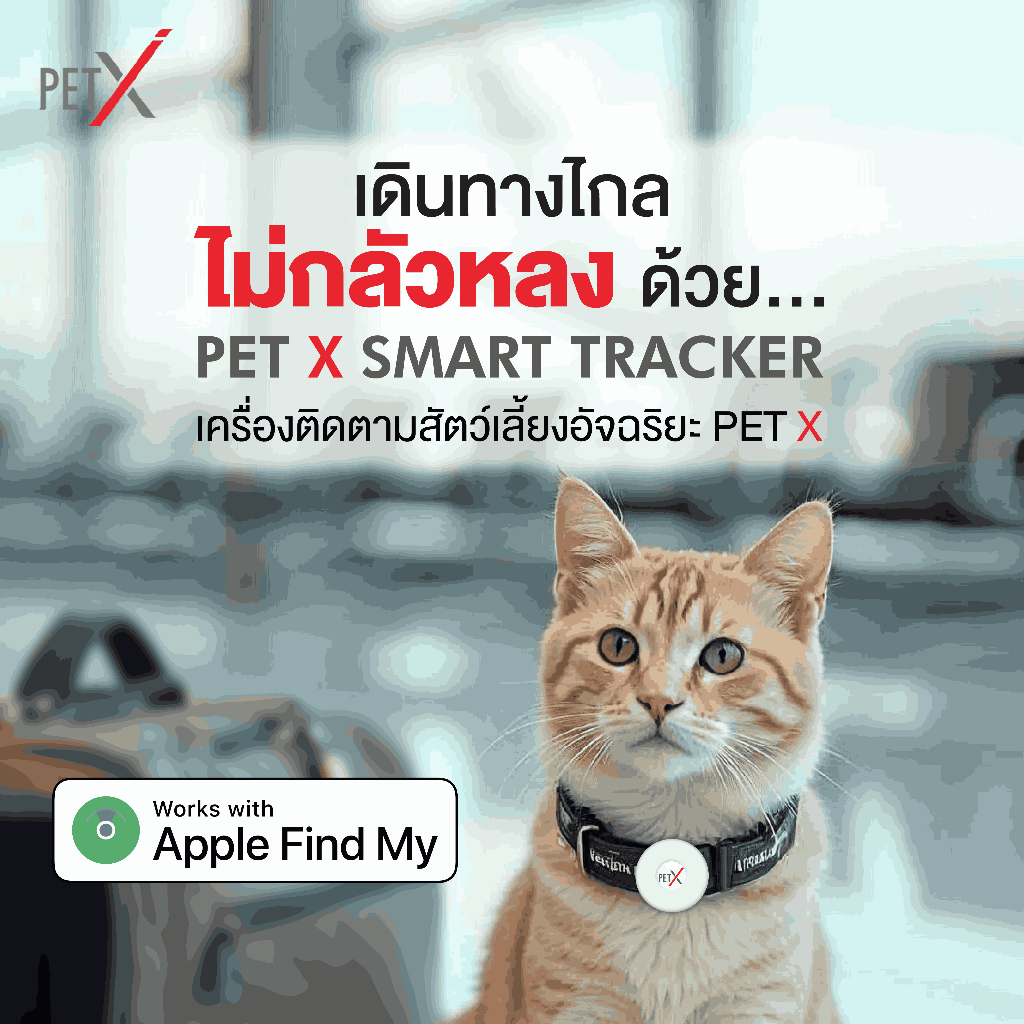 PET X : PetX Smart Tracker เครื่องติดตามสัตว์เลี้ยงอัจฉริยะ | Shopee Thailand