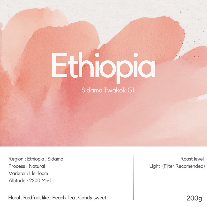 (Seasonal bean) เมล็ดกาแฟ Ethiopia Sidamo Twakok G1 | Shopee Thailand