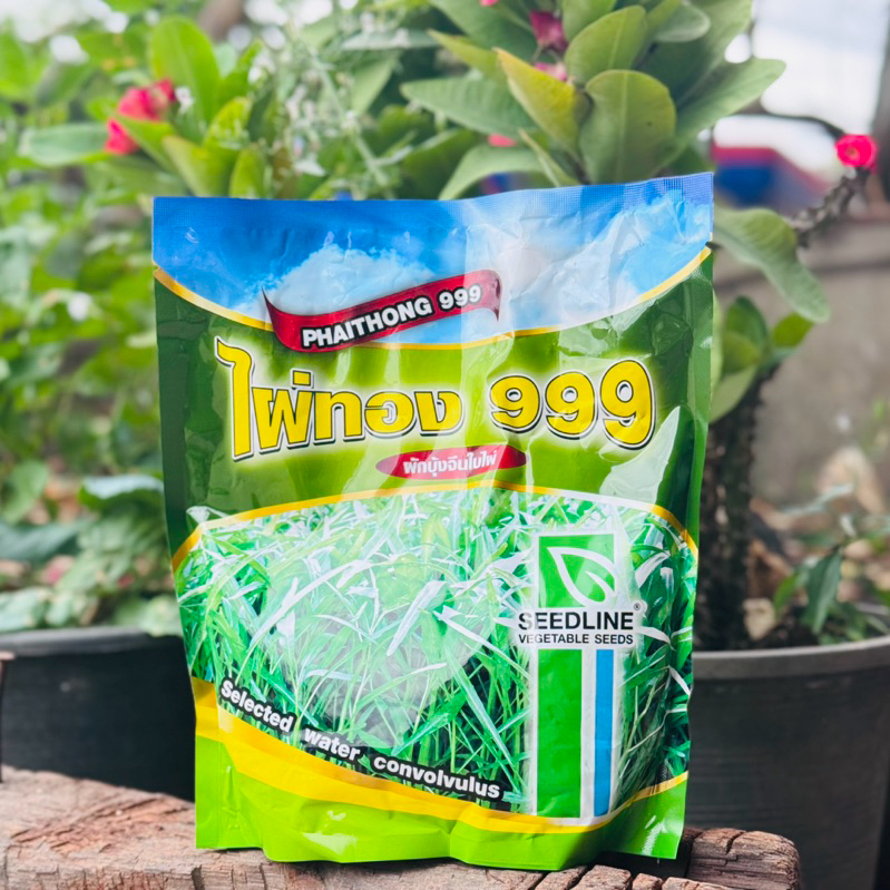 เมล็ดพันธุ์ผักบุ้งจีนใบไผ่ ไผ่ทอง999 ตราซีดไลน์ Seedline ขนาด 1 กิโลกรัม | Shopee Thailand