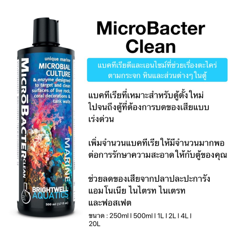 Brightwell Aquatics MicroBacter Clean แบคทีเรียสำหรับตู้ตั้งใหม่ น้ำจืด ...