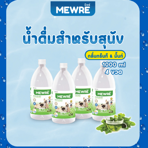 MEWRE มิวเร่ น้ำดื่มสำหรับสุนัข น้ำหมาเซ็ตสุดคุ้ม 4 ขวด กลิ่นมิ้นท์และกรีนที ขนาด 1L. (D x 4 ...