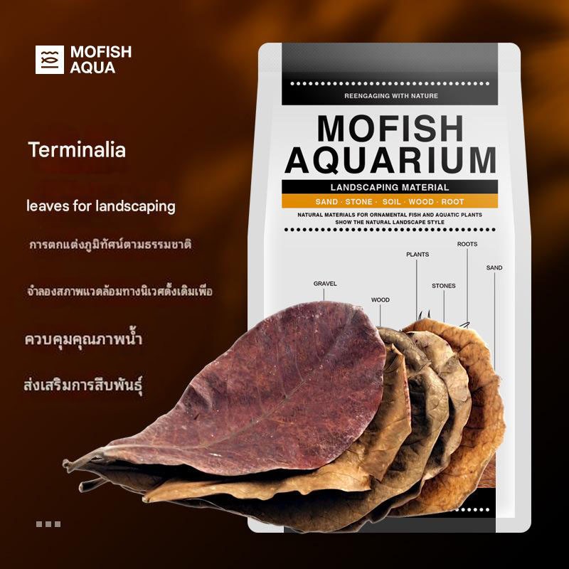 MOFISH Aquarium ใบหูกวาง คัดเกรด กลิ่นหอม เปลือกไม้ ลูกสน ตู้ปลาอเมซอน ลูกทรอมเบตต้า | Shopee ...