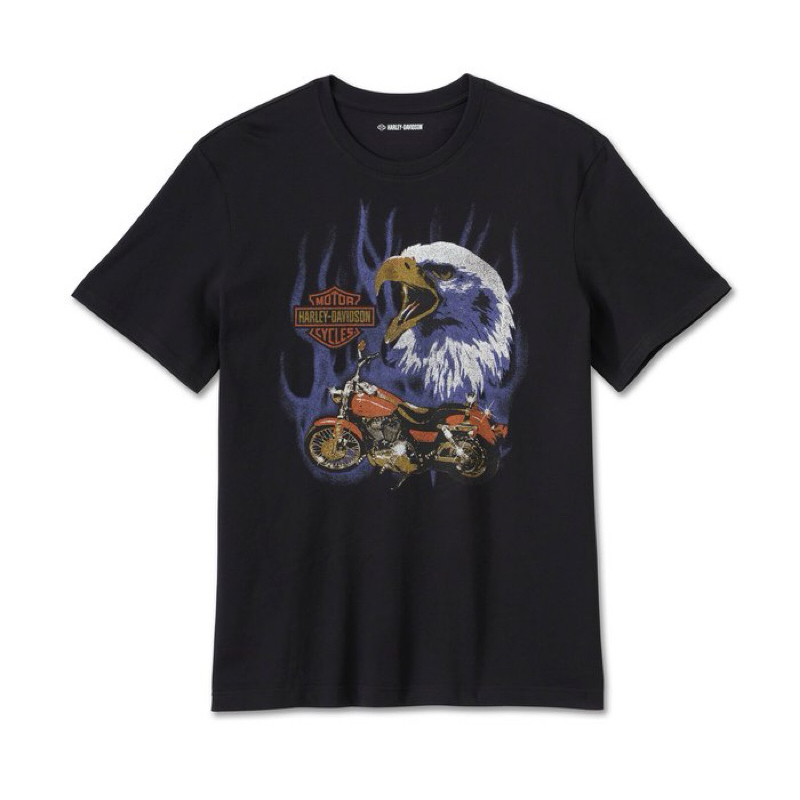 เสื้อยืด Harley-Davidson Eagle Rider 96027-25VM | Shopee Thailand