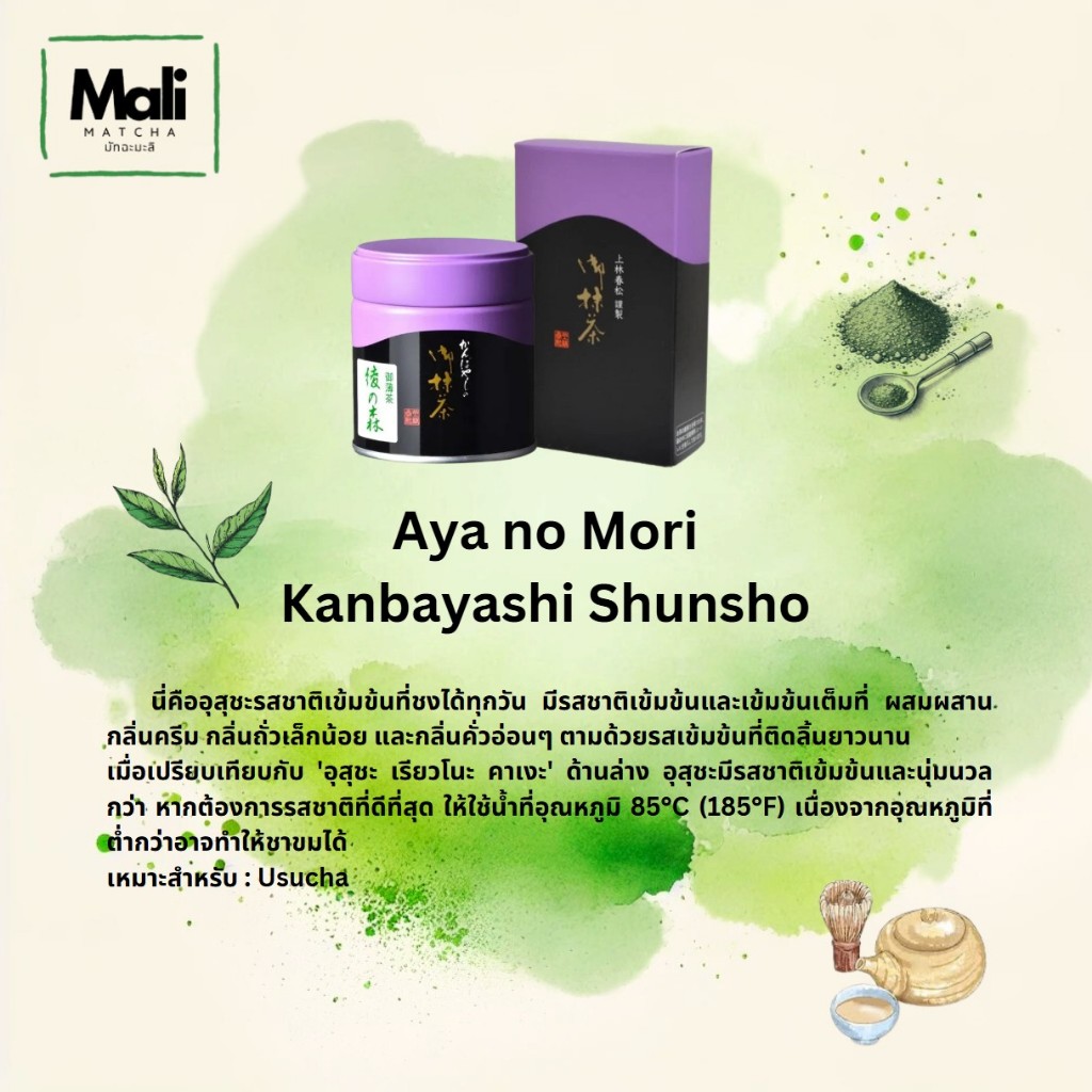 Kanbayashi Shunsho - มัทฉะ คุณภาพสูงเกรดพิธีการ 'Aya no Mori' พร้อมส่ง | Shopee Thailand