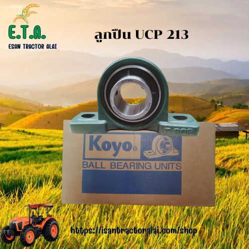 UCP213 ตลับลูกปืนตุ๊กตา ( BEARING UNITS ) สำหรับเพลาขนาด 65 mm | Shopee Thailand
