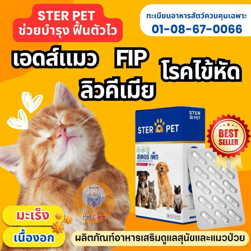 ของแท้!! STER PET ดูแลน้องแมว ลิวคีเมีย FIP ก้อนเนื้อ เสริมภูมิ น้องได้ ...