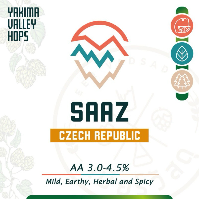 ฮอป Saaz Hops (50g) | Shopee Thailand