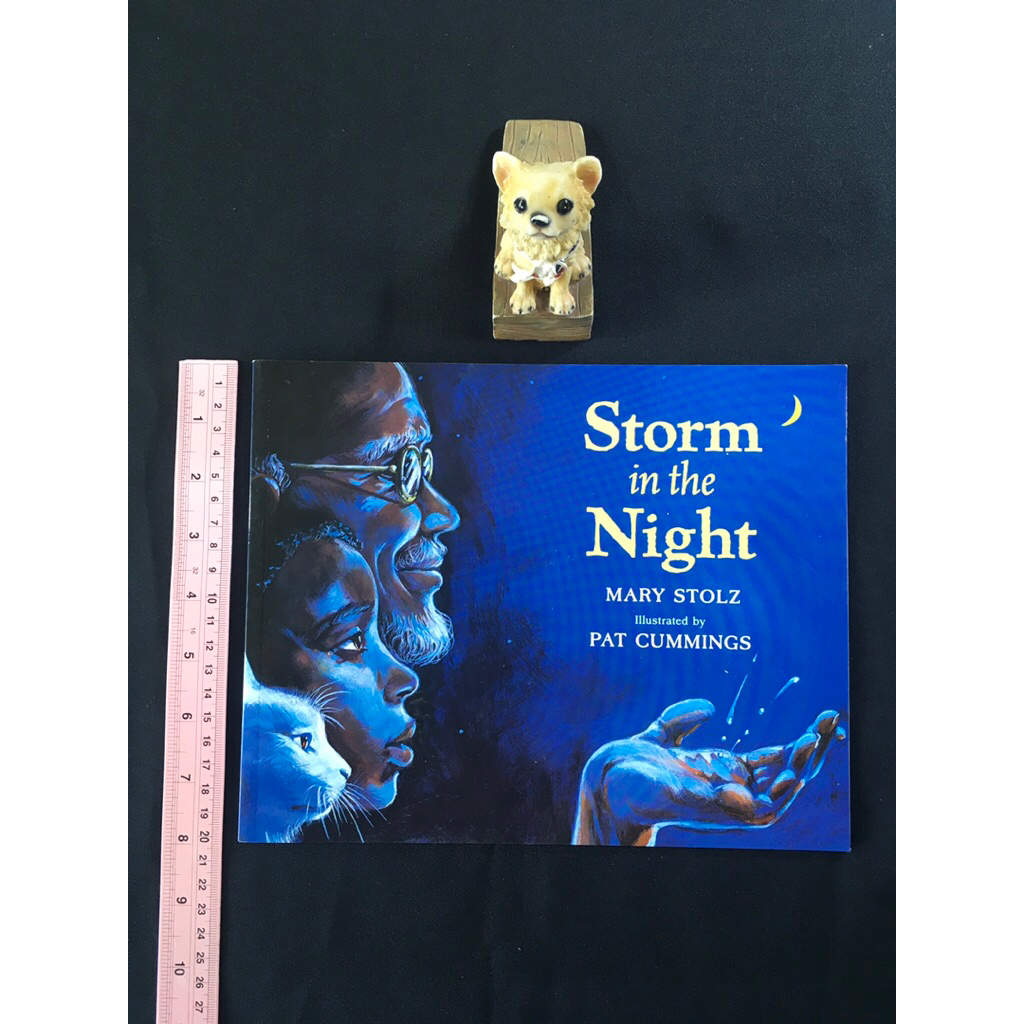 Storm in the Night By Mary Stolz หนังสือภาษาอังกฤษปกอ่อน (Pre-owned ...