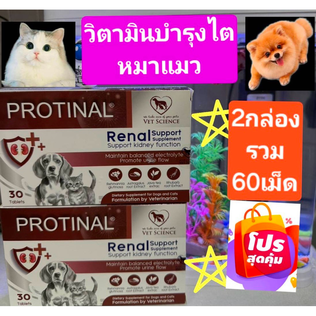 protinalสุดคุ้ม2กล่องรวม60เม็ดเม็ดบํารุงไตและกระเพาะปัสสาวะ สำหรับสุนัข ...