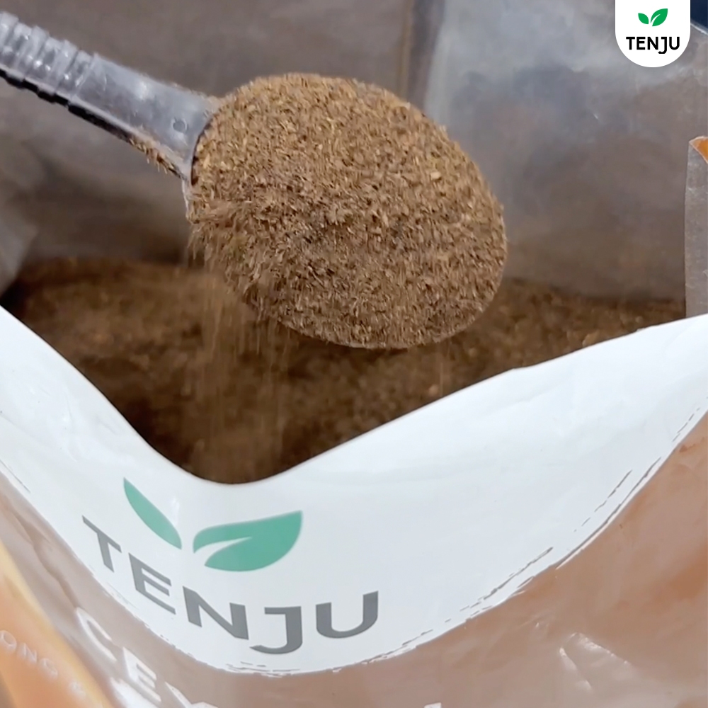 Tenju ชาซีลอน 1000 กรัม Ceylon หัวชาเข้มข้น ไม่แต่งสี ไม่แต่งกลิ่น (ตรา ...