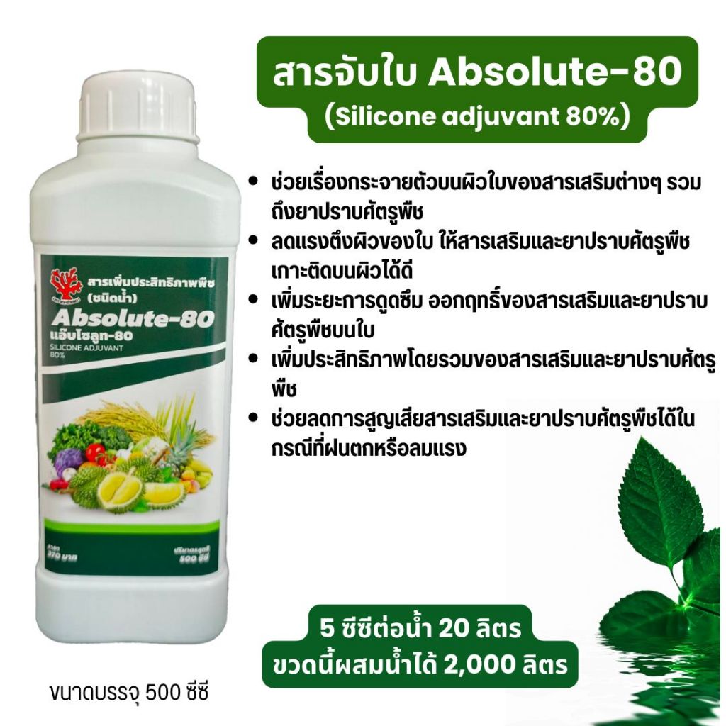 สารจับใบ Absolute-80 ขนาด 500 ซีซี | Shopee Thailand