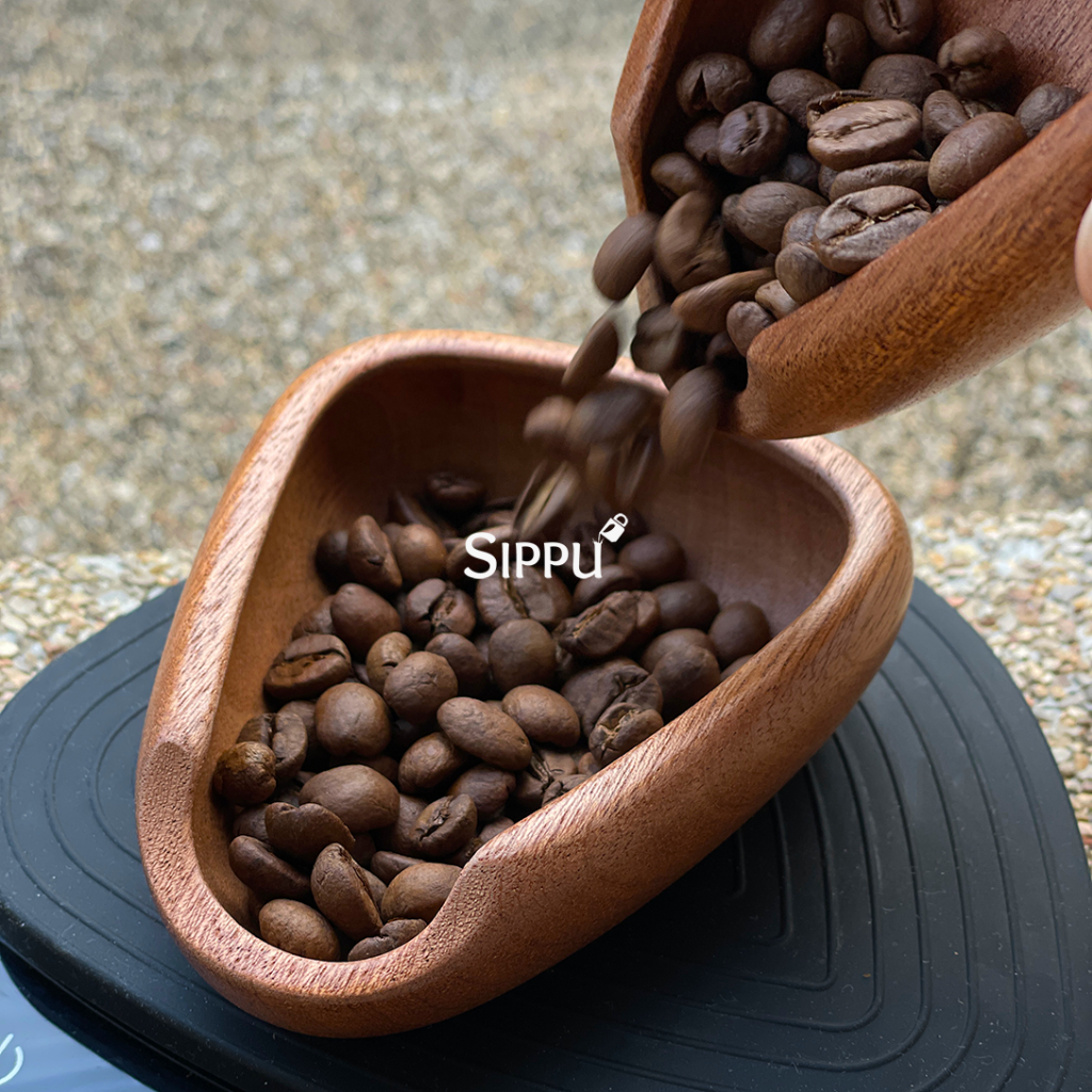 Sippu Wooden Coffee Dosing Tray ถาดไม้ กรอกเมล็ดกาแฟ (เคลือบบำรุงรักษา ...